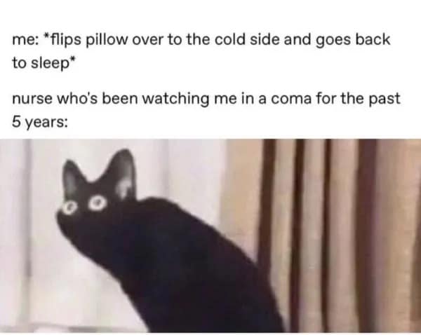 meme dump-4-20260120 - Thunder Dungeon | The Funniest Memes. Period.