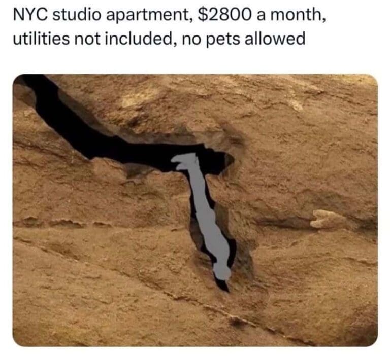 25 Renter Memes For Anyone Stuck In The Lease Loop