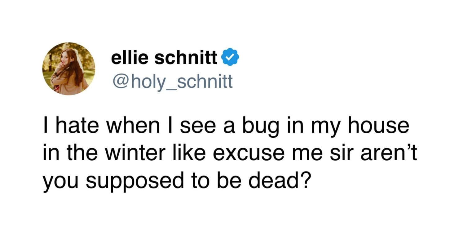 25 Winter Memes For People Who Hate Going Outside