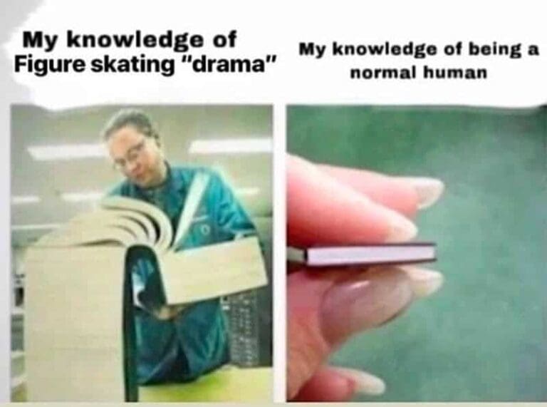 30 Flawless Figure Skating Memes For Olympic Week
