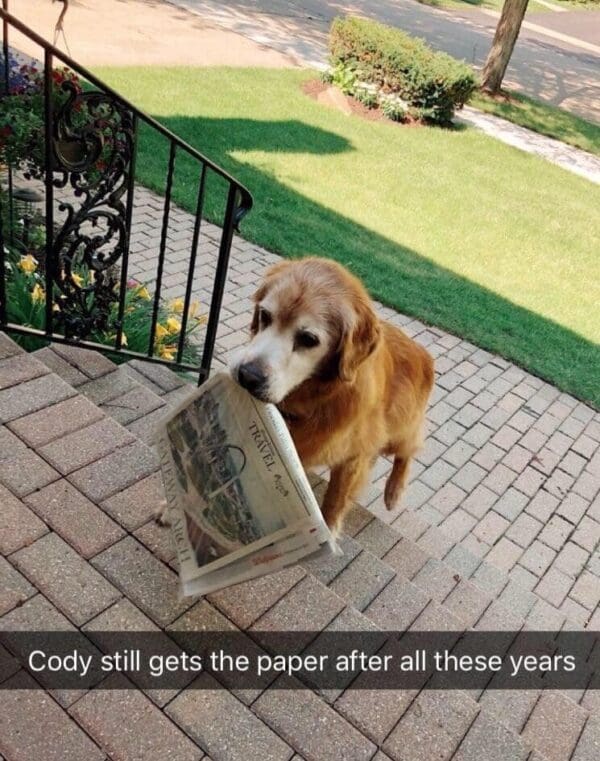 This Friday Meme Dump Is the Funniest Way to Lose 10 Minutes
