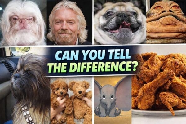 30 Uncanny Photos Of Dogs That Look Like Other Things